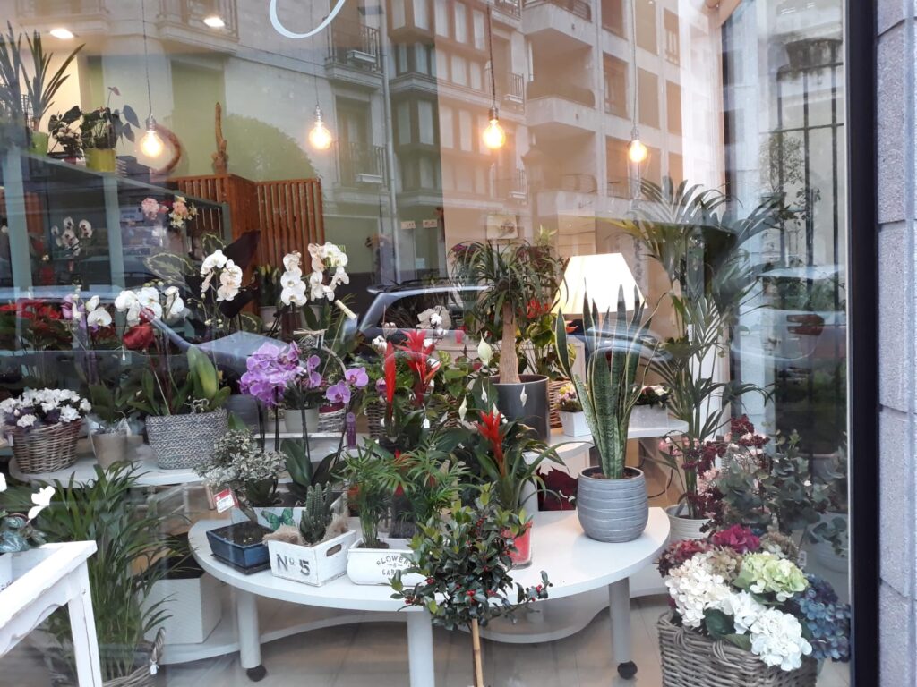 AINGERU LORADENDA, Azkoitia - Gipuzkoa - Floristerías Cercanas
