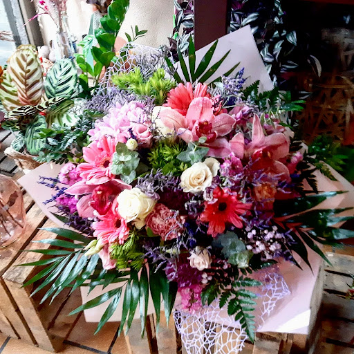 Pura Vida flors i plantes, Sabadell - Barcelona - Floristerías Cercanas